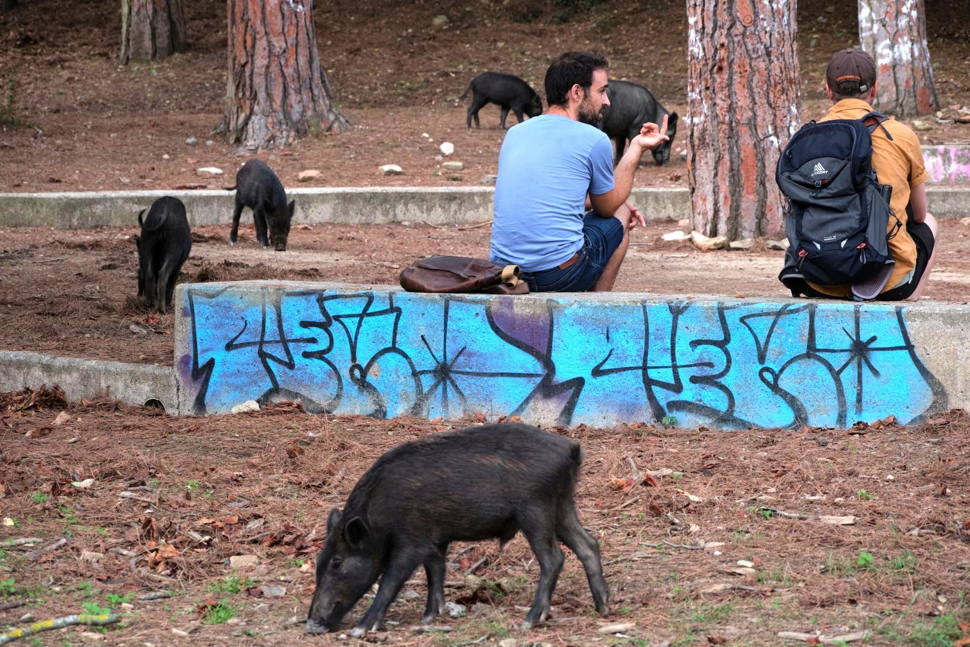 Augusta and Her Trap | ROOTLING