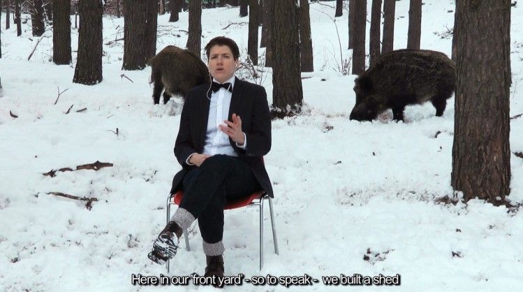 Pigs in Progress | ROOTLING