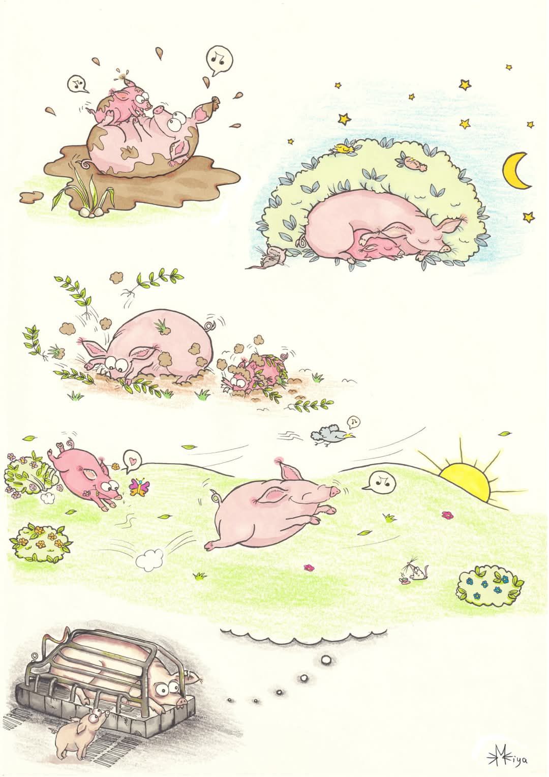 A Pig Dreams | ROOTLING