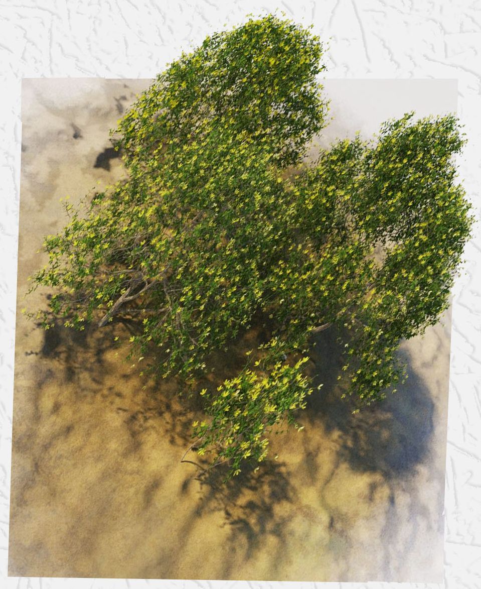 The Wild Pig’s Story | ROOTLING