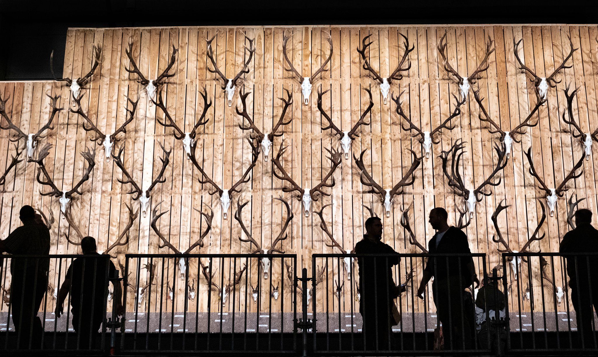 Tusk Portraiture | ROOTLING